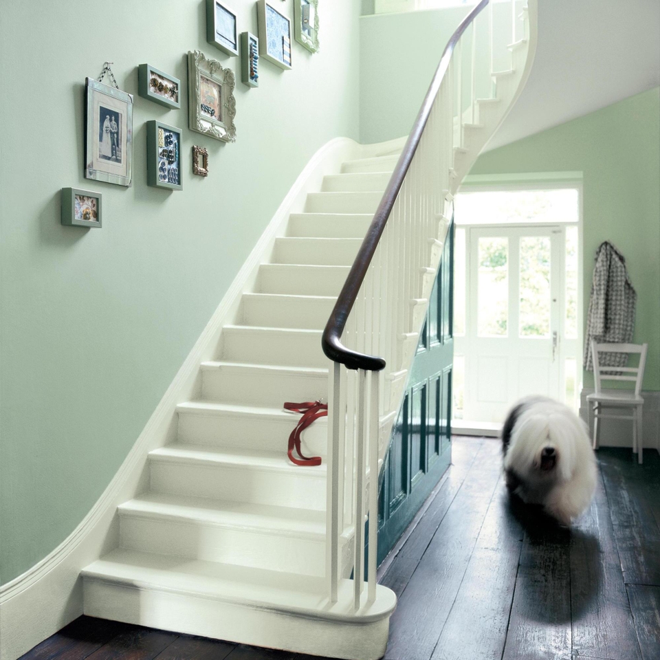 Dulux Matt Emulsion Paint Willow Tree 5L Homebase