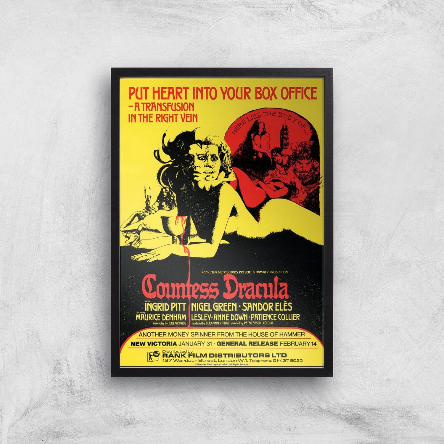 countess dracula poster
