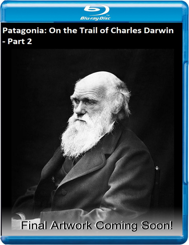darwin part 2