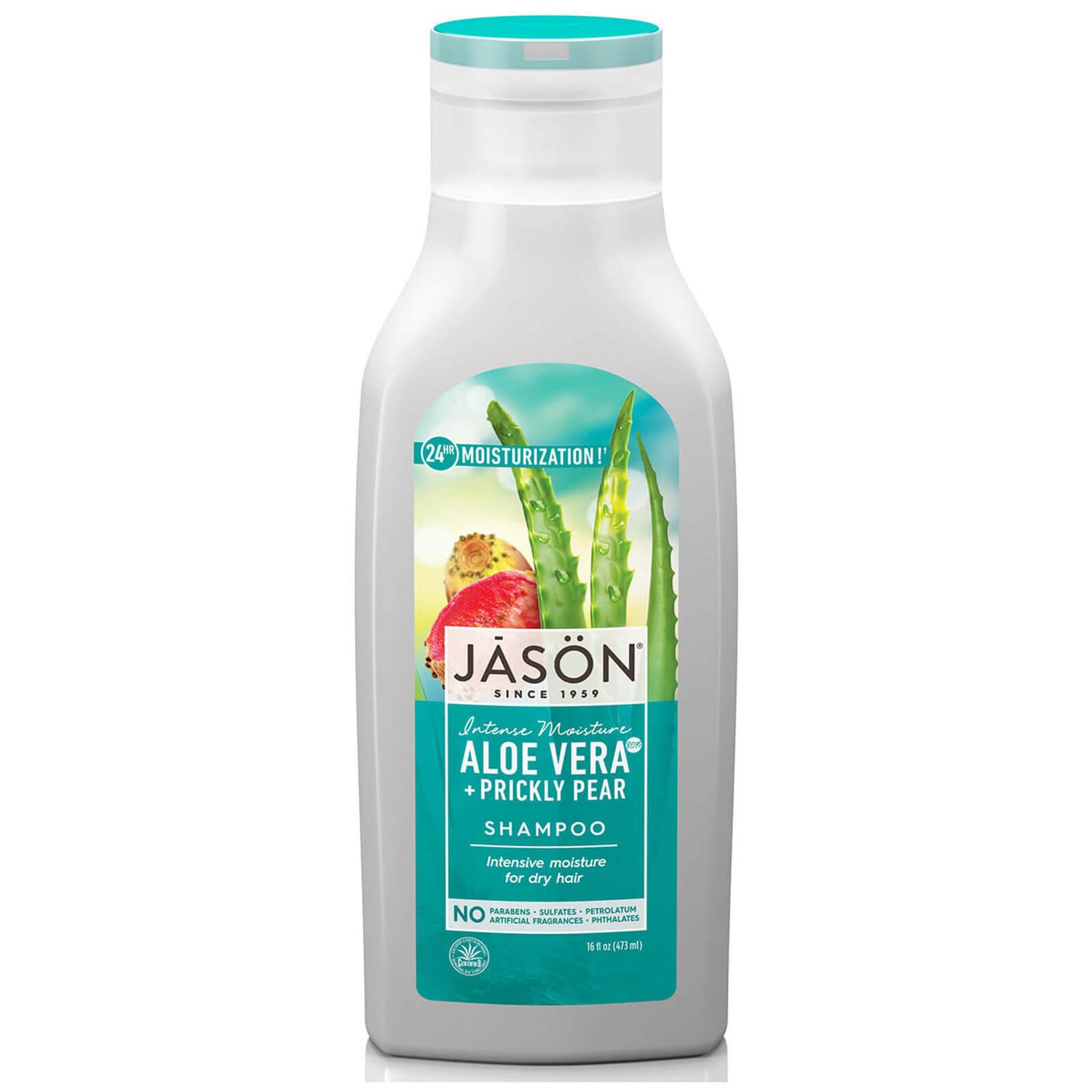 JASON Hair Care Aloe Vera 80% and Prickly Pear Shampoo 473ml ...