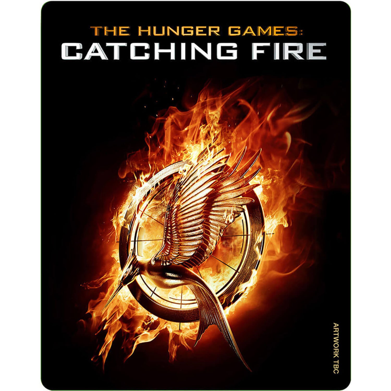 Catching Fire Dvd Cover Art