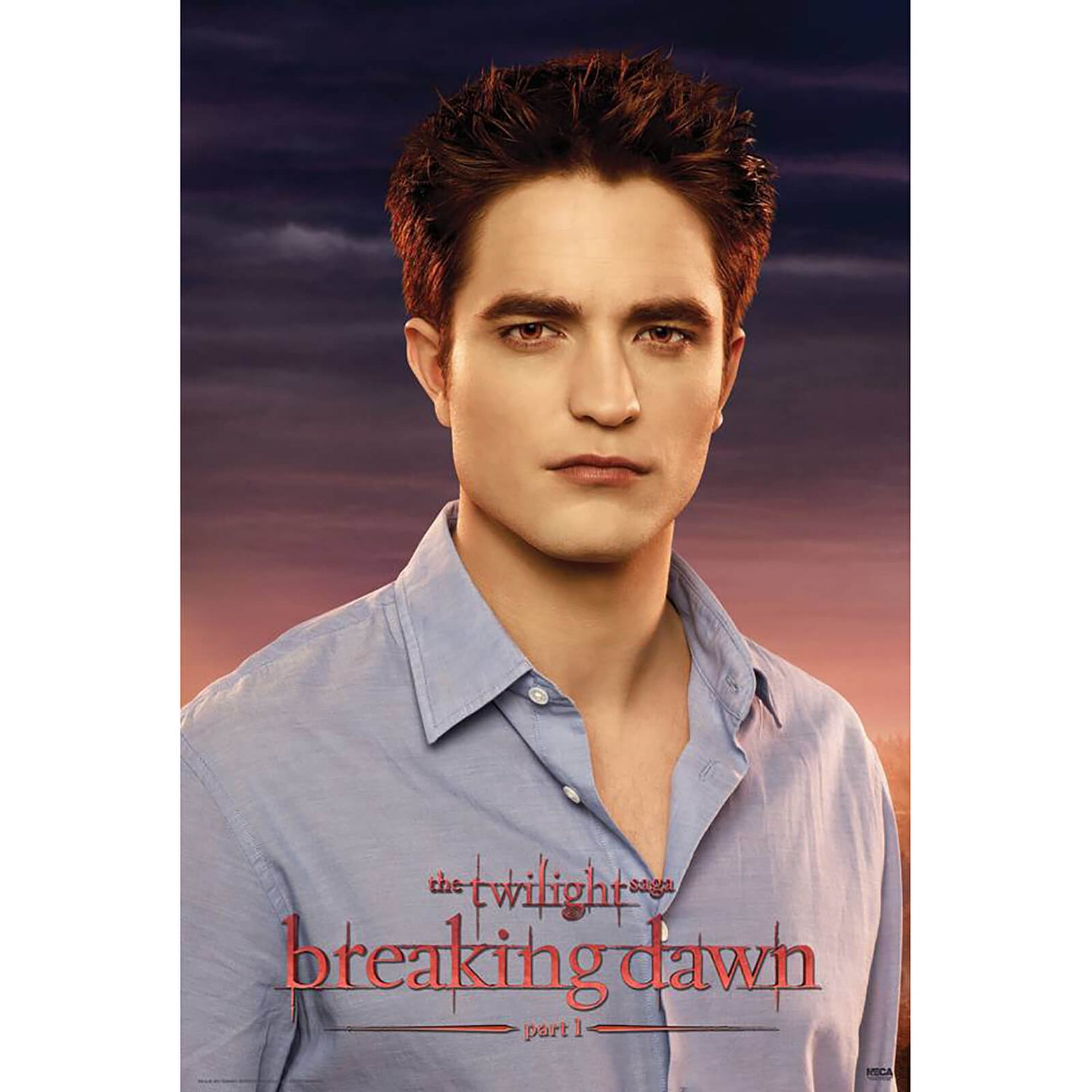 twilight poster edward