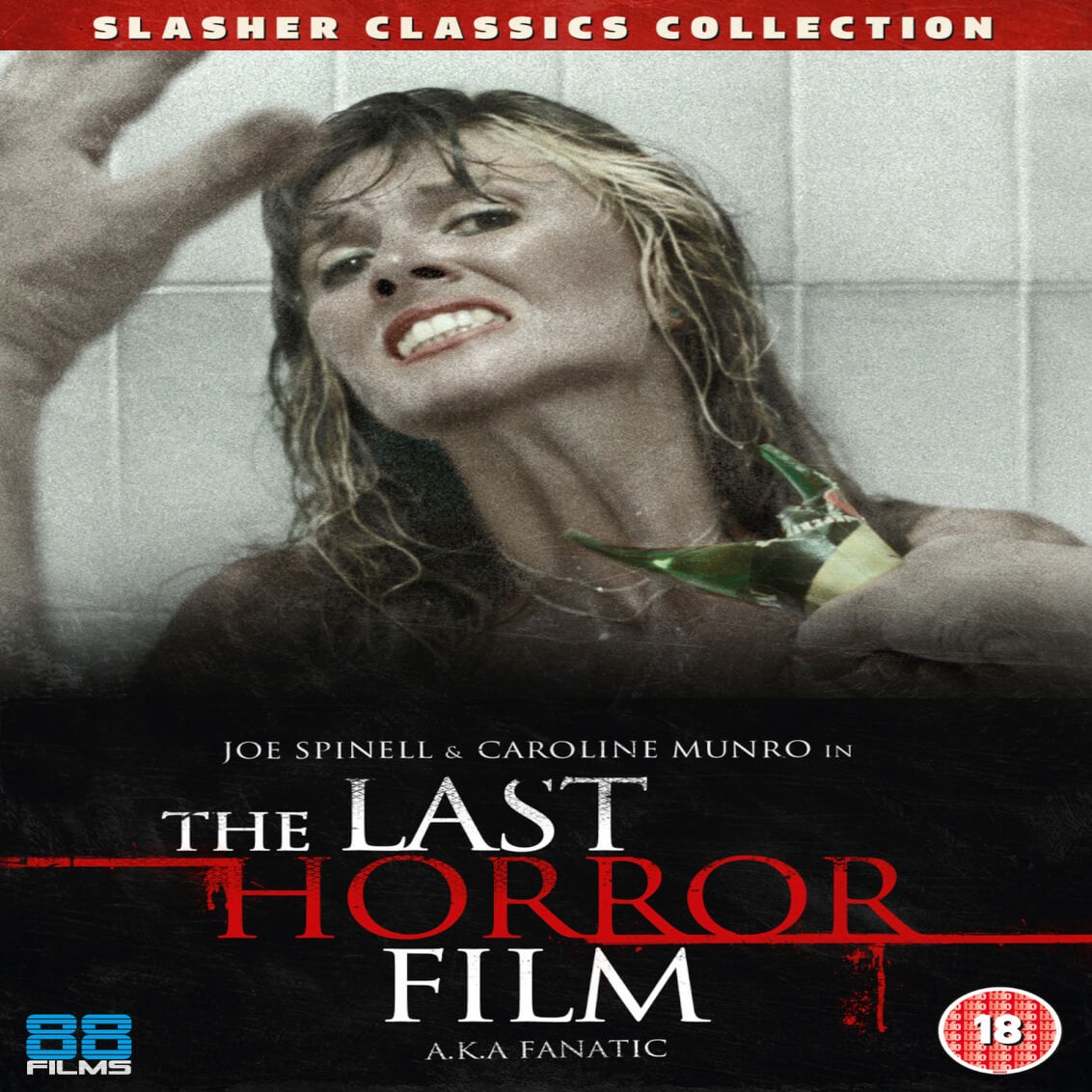 The Last Horror Film DVD - Zavvi UK