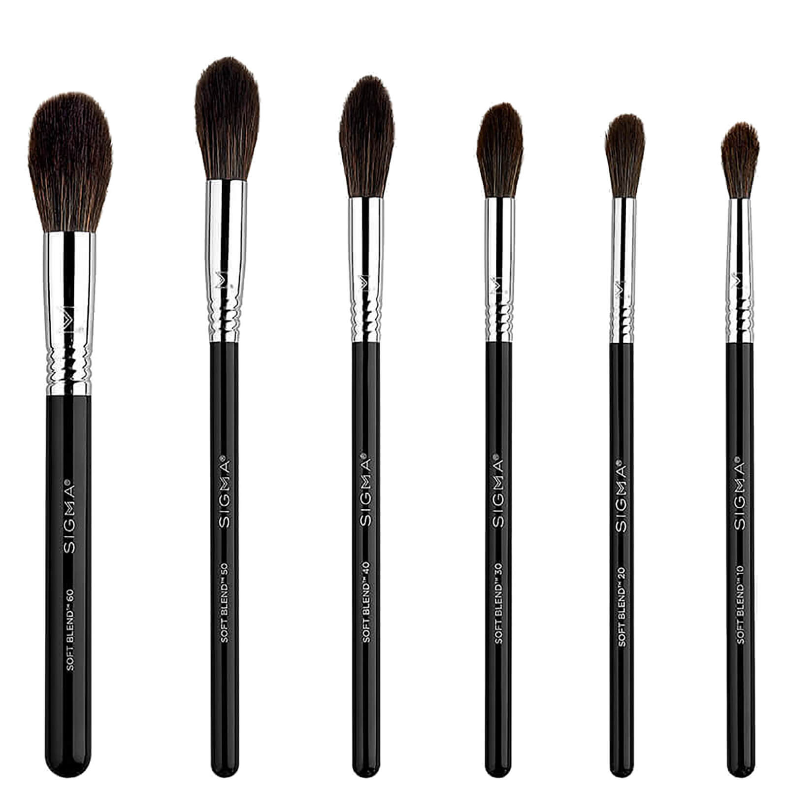 Sigma Makeup Premium Brush Kit - Mugeek Vidalondon
