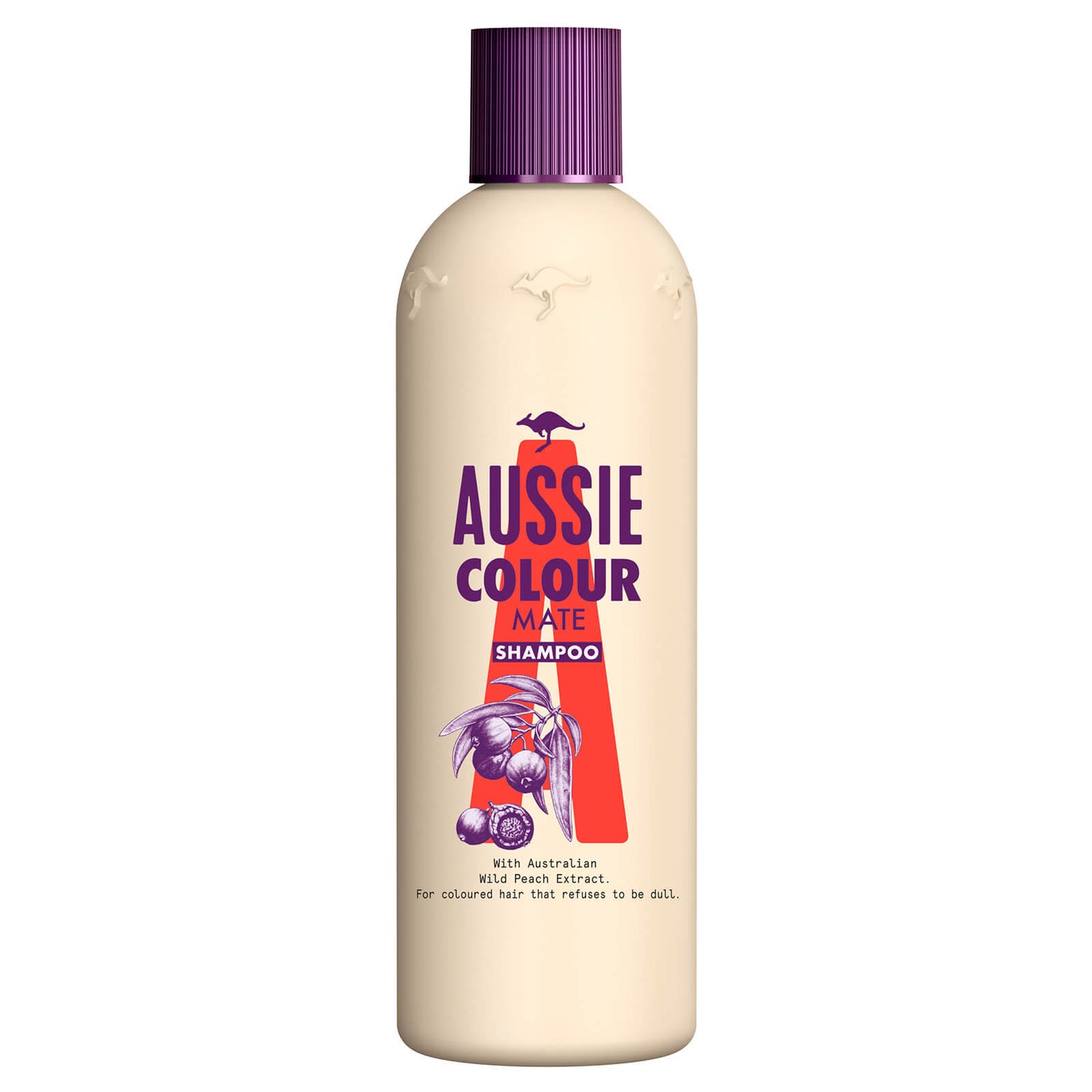 Aussie Colour Mate Shampoo for Coloured Hair 300ml - LOOKFANTASTIC