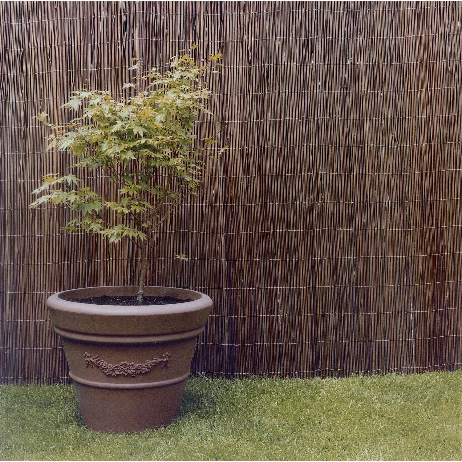 Garden Screening Homebase | Fasci Garden