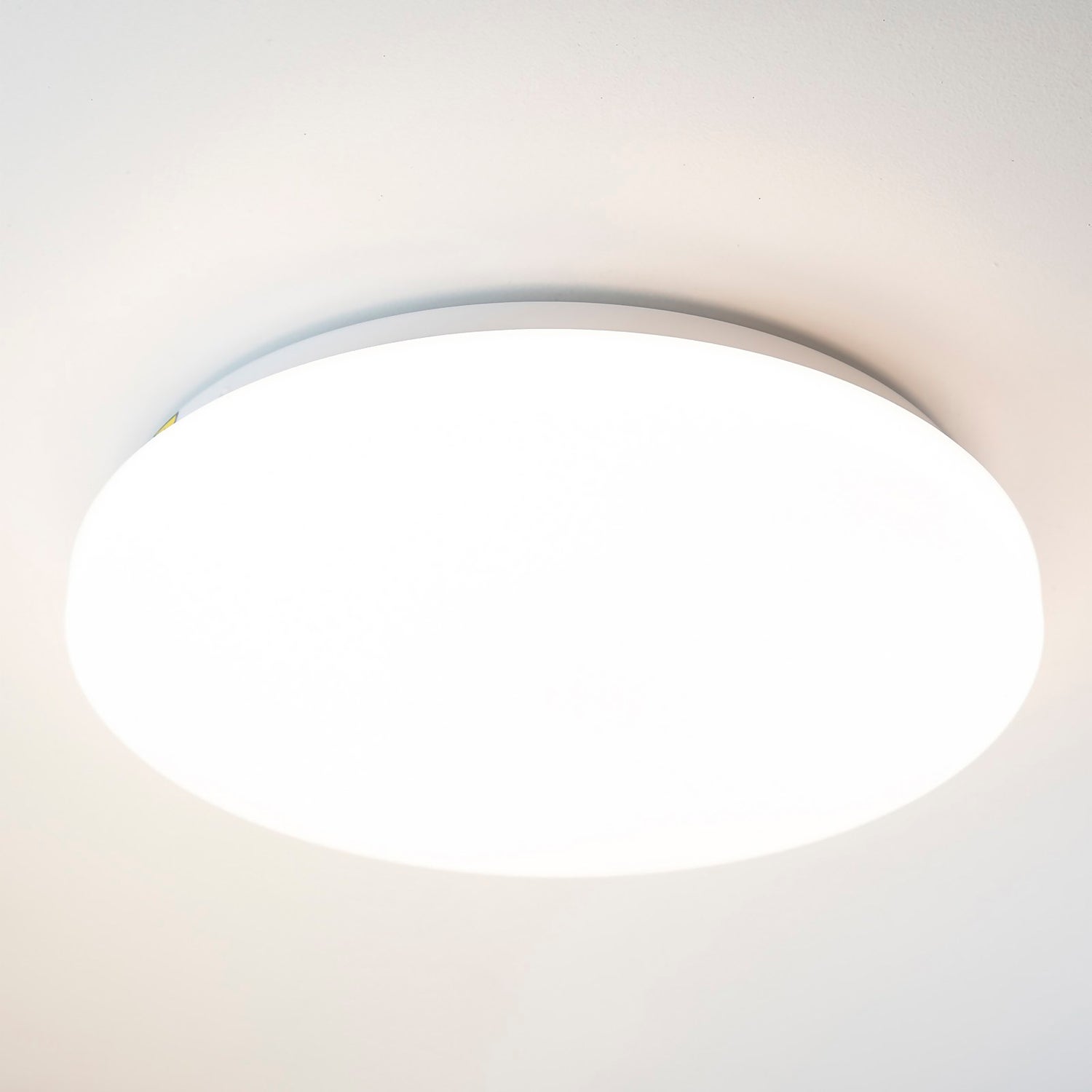 Dimmer Ceiling Light | Shelly Lighting
