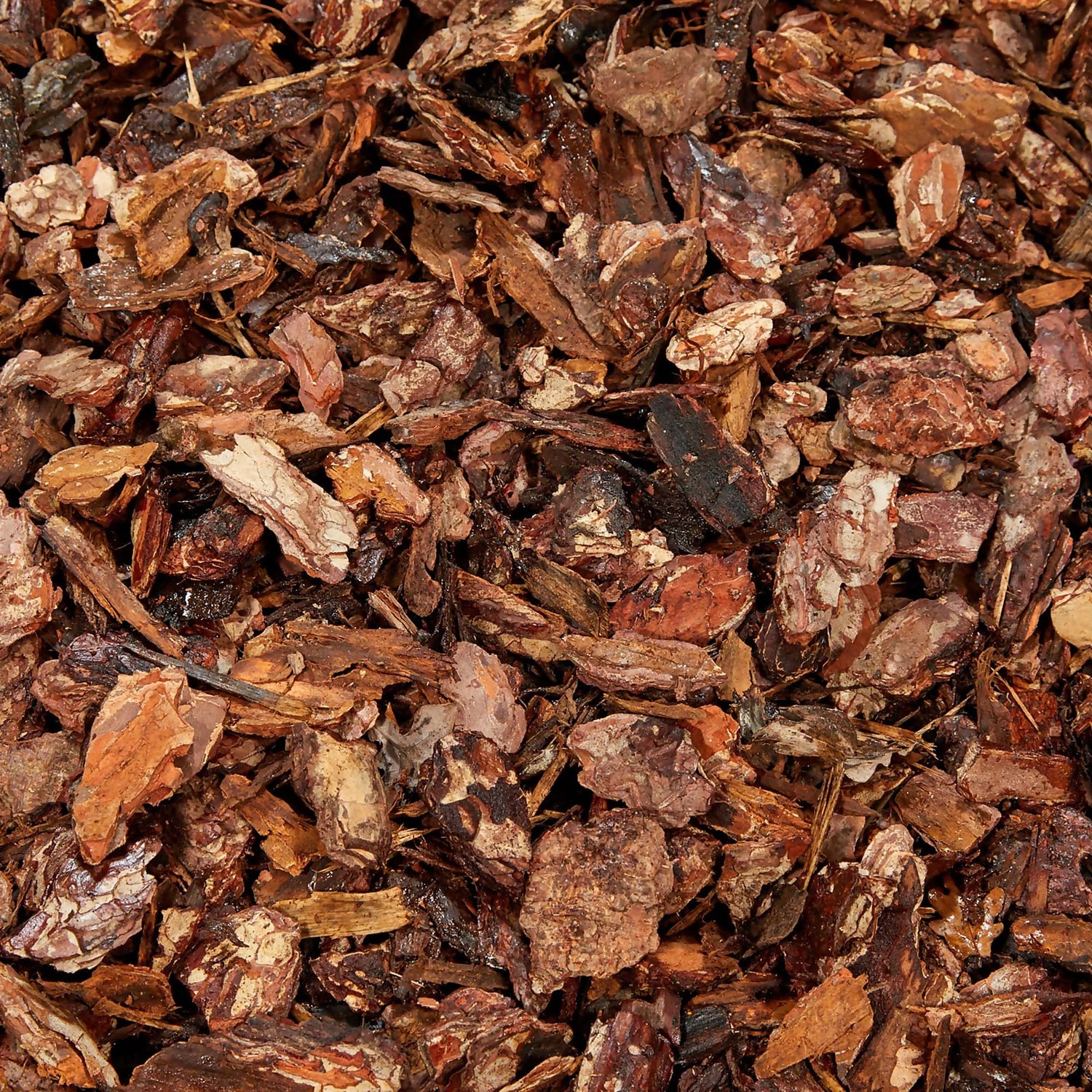 Decorative Bark Chips Homebase | Shelly Lighting