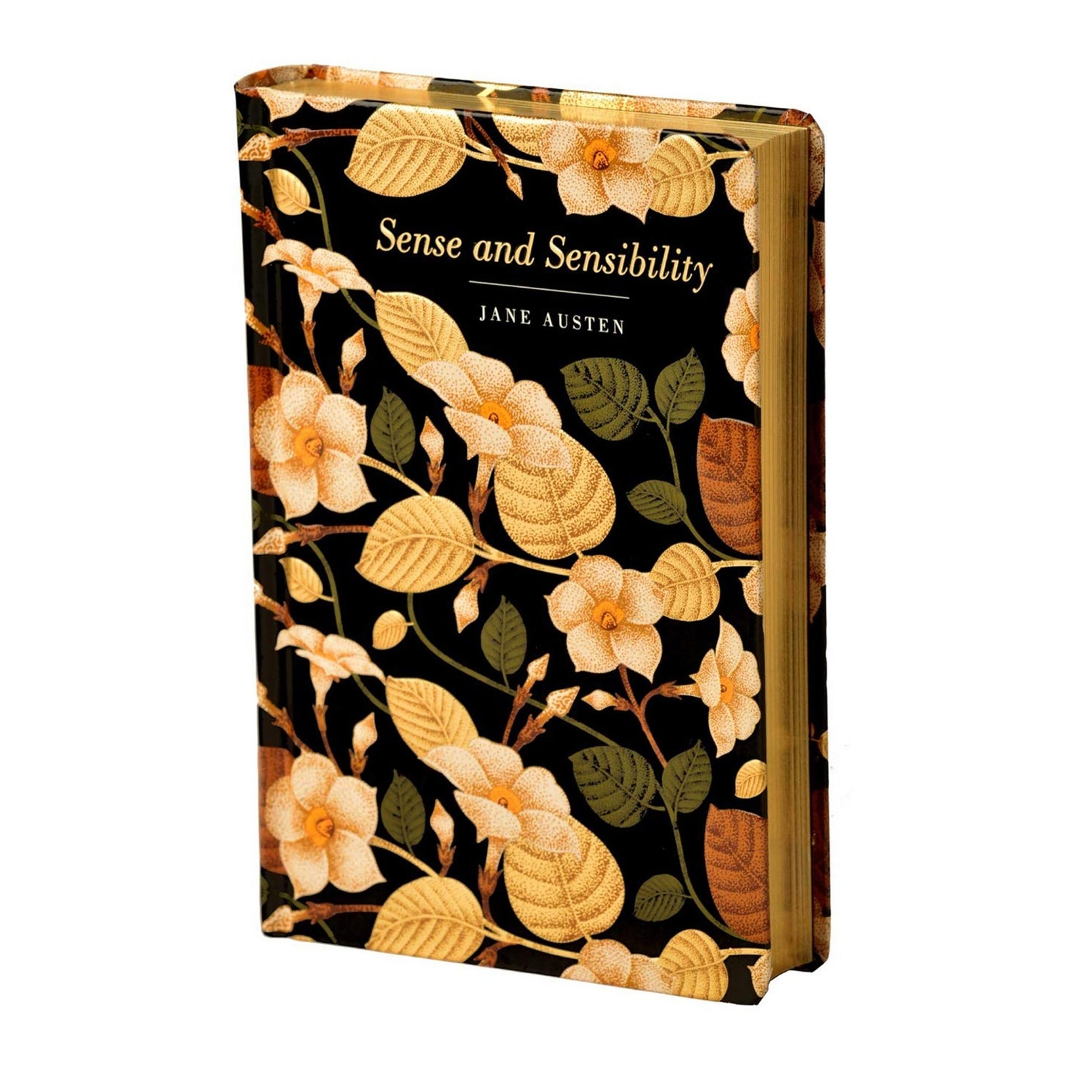 Chiltern Classics: Sense & Sensibility - Jane Austen Books | Zavvi ...