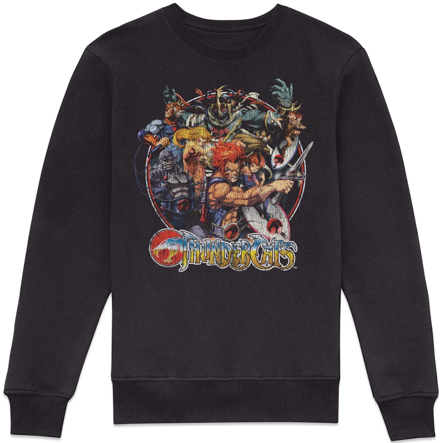 Thundercats Warriors Of Thundera Sweatshirt - Black Clothing - Zavvi US