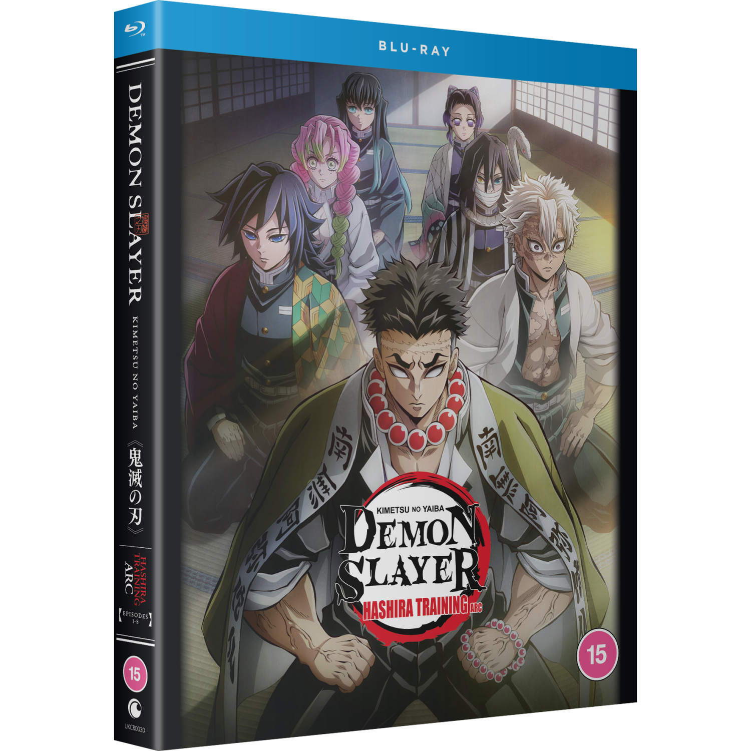 Demon Slayer: Kimetsu no Yaiba: Hashira Training Arc Blu-ray - Zavvi UK