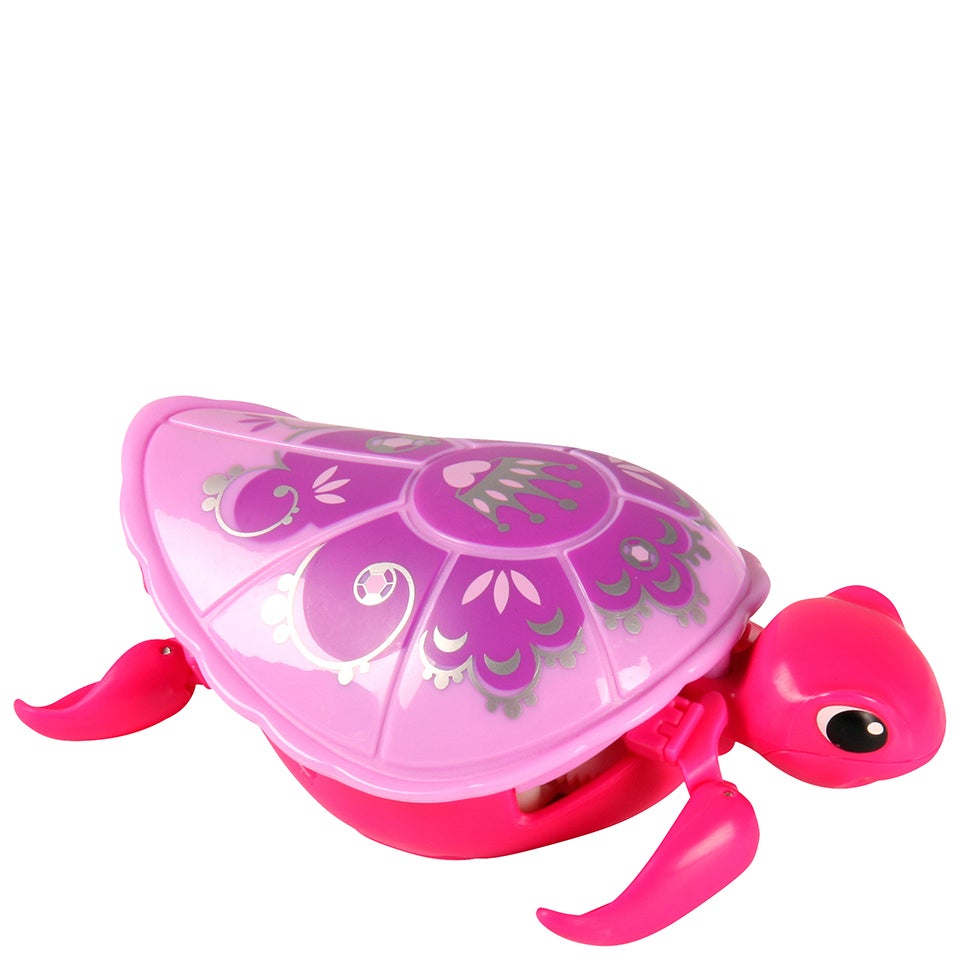 Live pets turtle store
