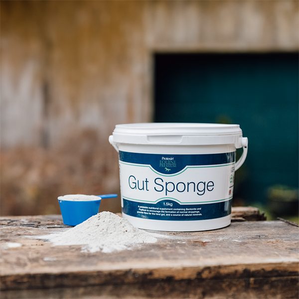 Equine Premium | The UK's Leading Equine Health Supplement Specialists