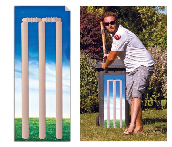 Cricket Wicket Stick-It - IWOOT UK