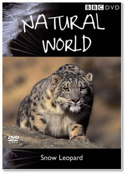 Natural World - Snow Leopard DVD - Zavvi UK