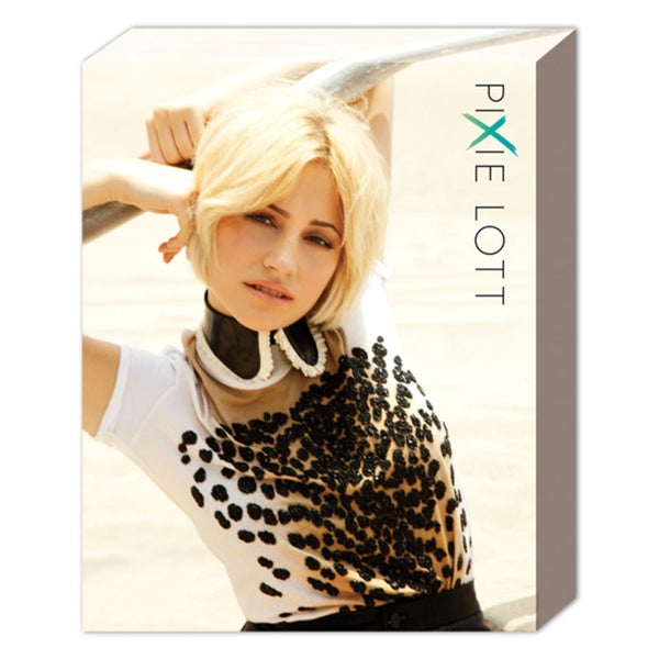 Pixie Lott Beach - 40 x 30cm Canvas Merchandise - Zavvi UK