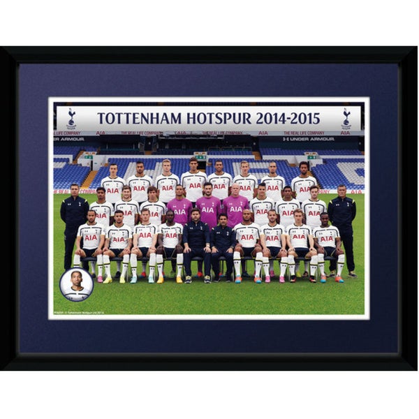 Tottenham Hotspur Team Photo 14/15 - 8x6 Framed Photographic ...