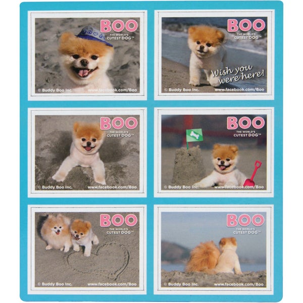 Boo The World's Cutest Dog Magnets - IWOOT UK