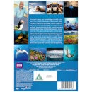 Blue Planet II DVD - Zavvi UK