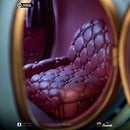 Iron Studios Disney Classics Cinderella Deluxe Art Scale 1/10 Statue ...