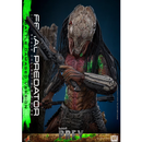 Hot Toys 1/6 Feral Predator Battle Damaged - Prey Figure Merchandise ...