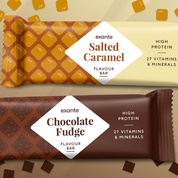 Meal Replacement Salted Caramel and Choco Fudge Bar Bundle (6 Units ...