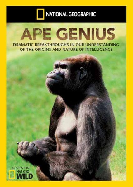 Ape Genius DVD - Zavvi UK