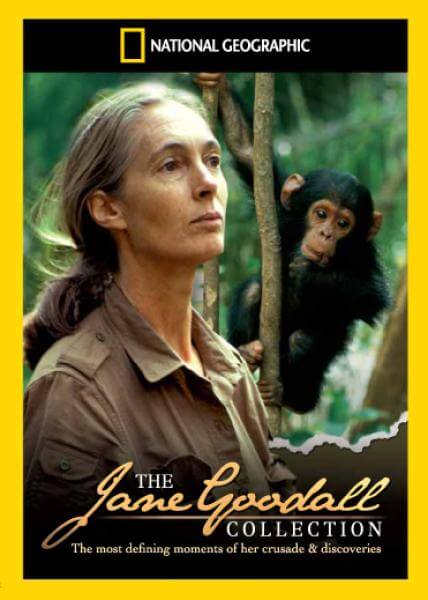 National Geographic: The Jane Goodall Collection DVD - Zavvi UK