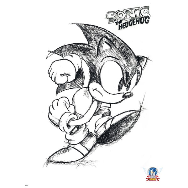 sonic the hedgehog coloring pages rogue