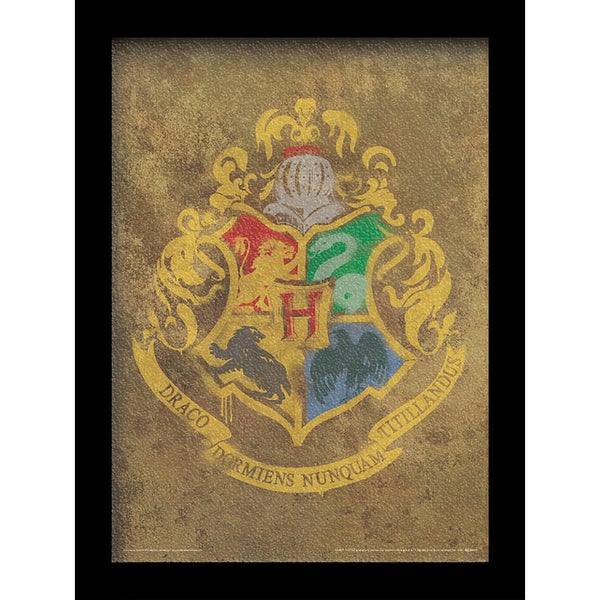 Harry Potter Hogwarts Crest 30 x 40cm Gel Coat Prints Merchandise ...