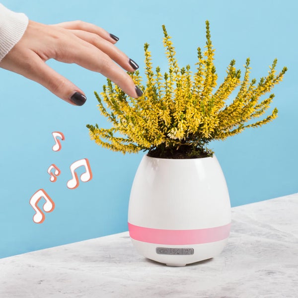 Plant Pot Speaker - White - IWOOT UK