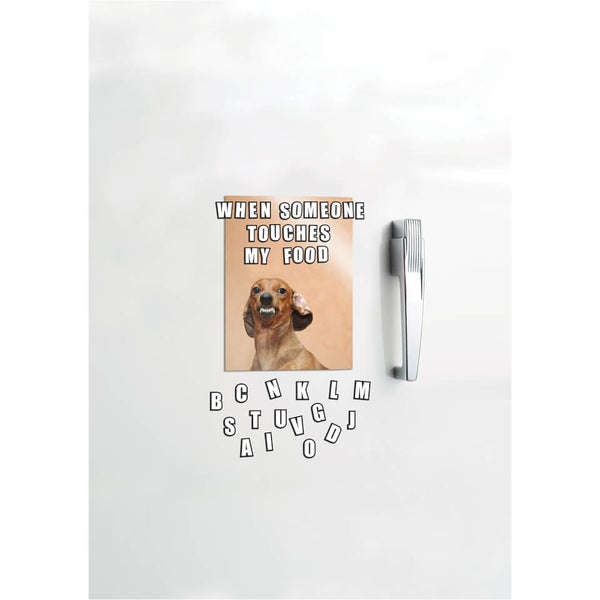 Meme Magnets Unique Gifts - Zavvi US