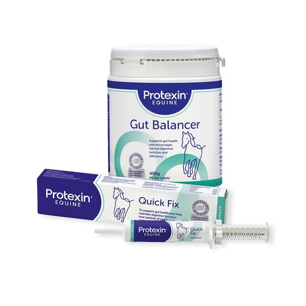 Gut Balancer 400g & Quick Fix | Protexin Equine
