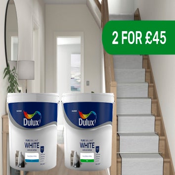 Solid Emulsion Ceiling Paint | Homeminimalisite.com