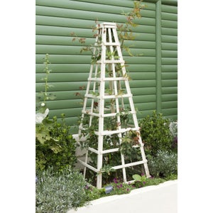Growing Frames - Vegetable & Plant Supports | Homebase