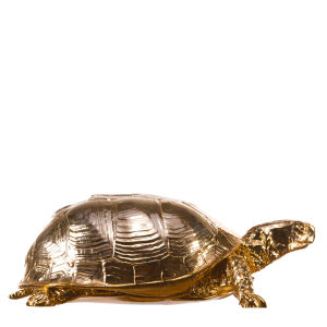 Turtle Box - Gold - IWOOT UK