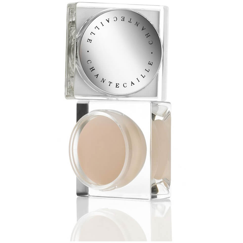 Chantecaille Total Concealer | LOOKFANTASTIC