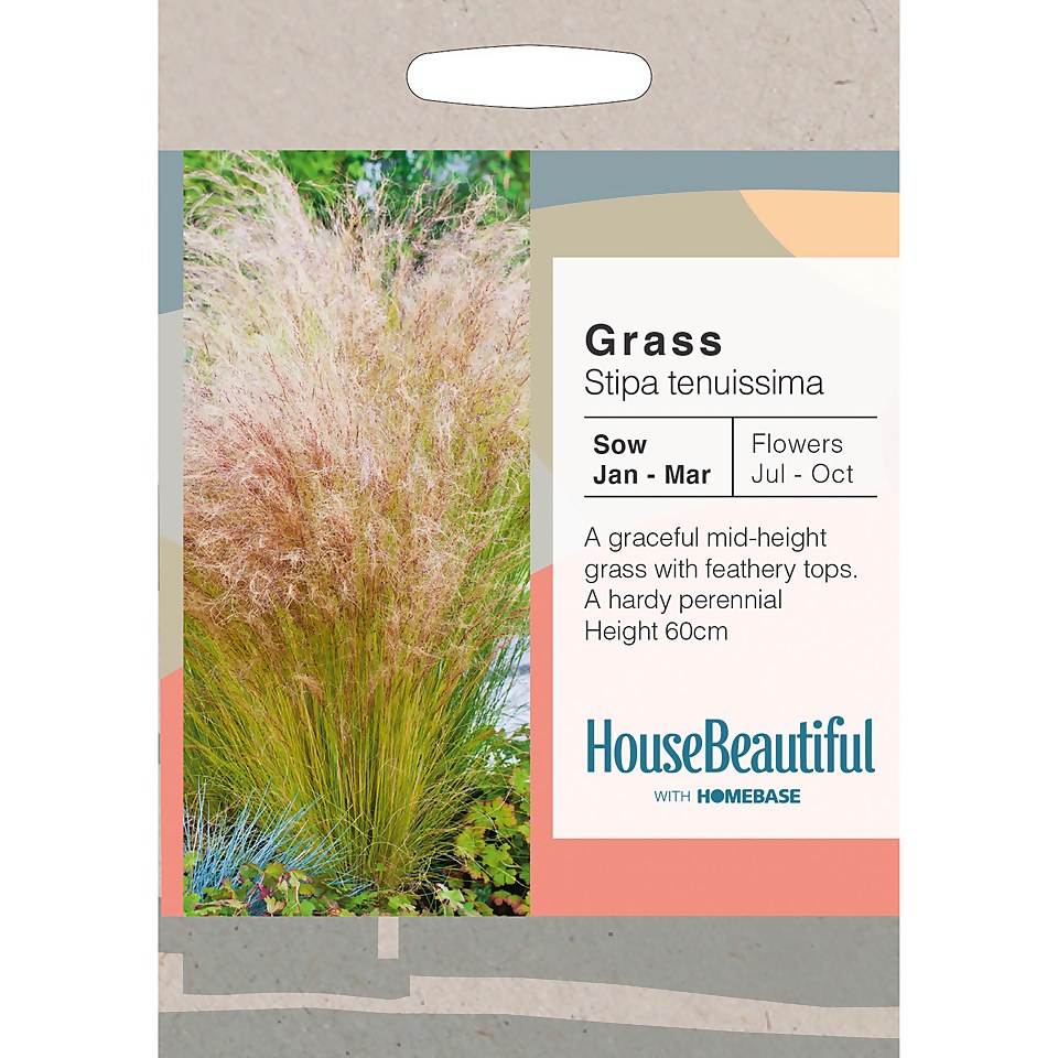 House Beautiful Grass Stipa tenuissima Seeds | Homebase