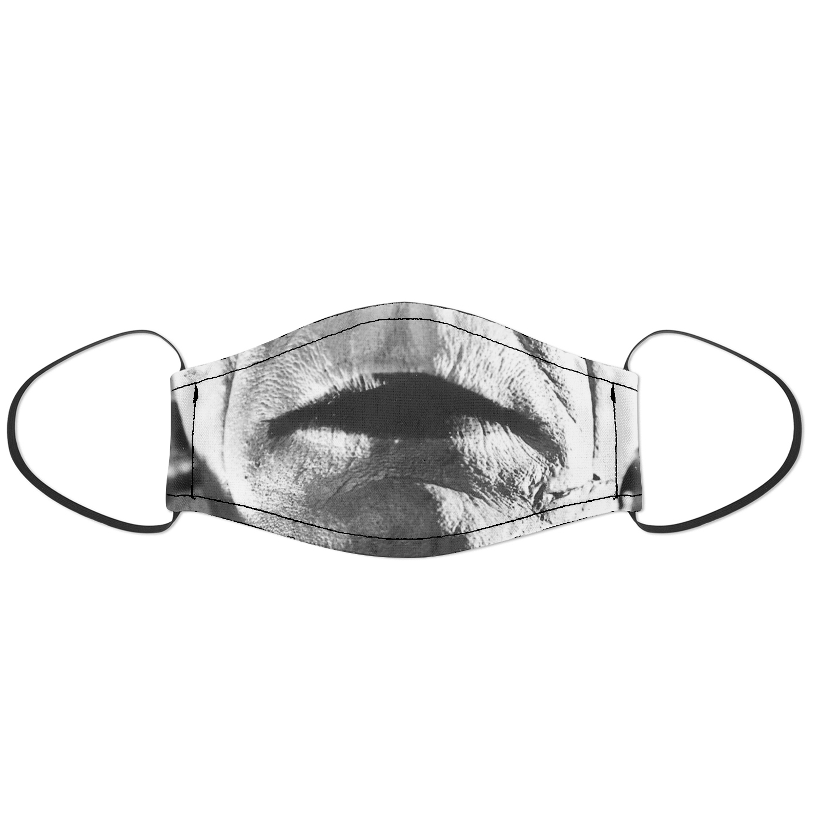 Universal Monsters Frankenstein Face Mask - S
