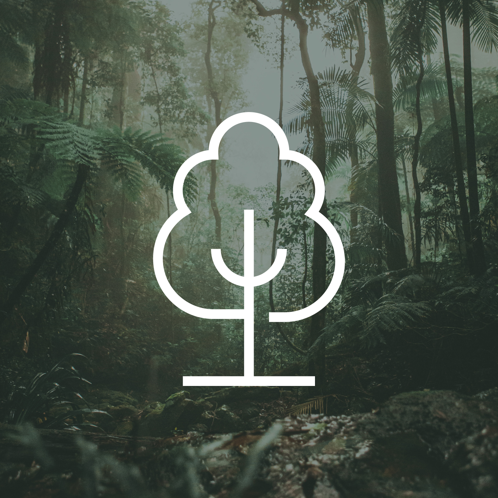 1 Tree Planted via THG (More Trees) | Cult Beauty