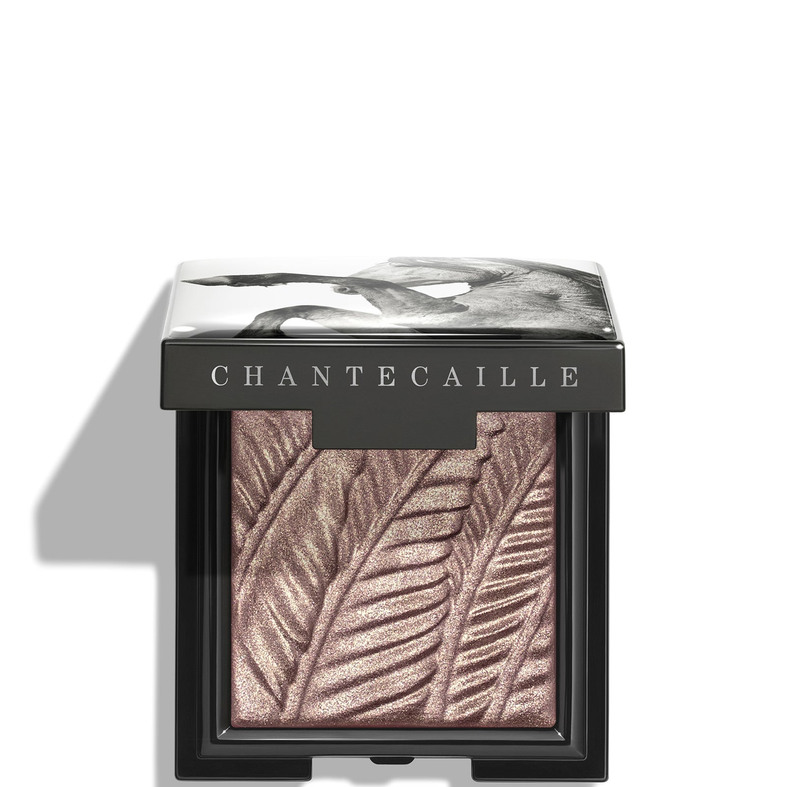 Chantecaille Wild Mustang Luminescent Eyeshadow 2.5g (Various Shades ...
