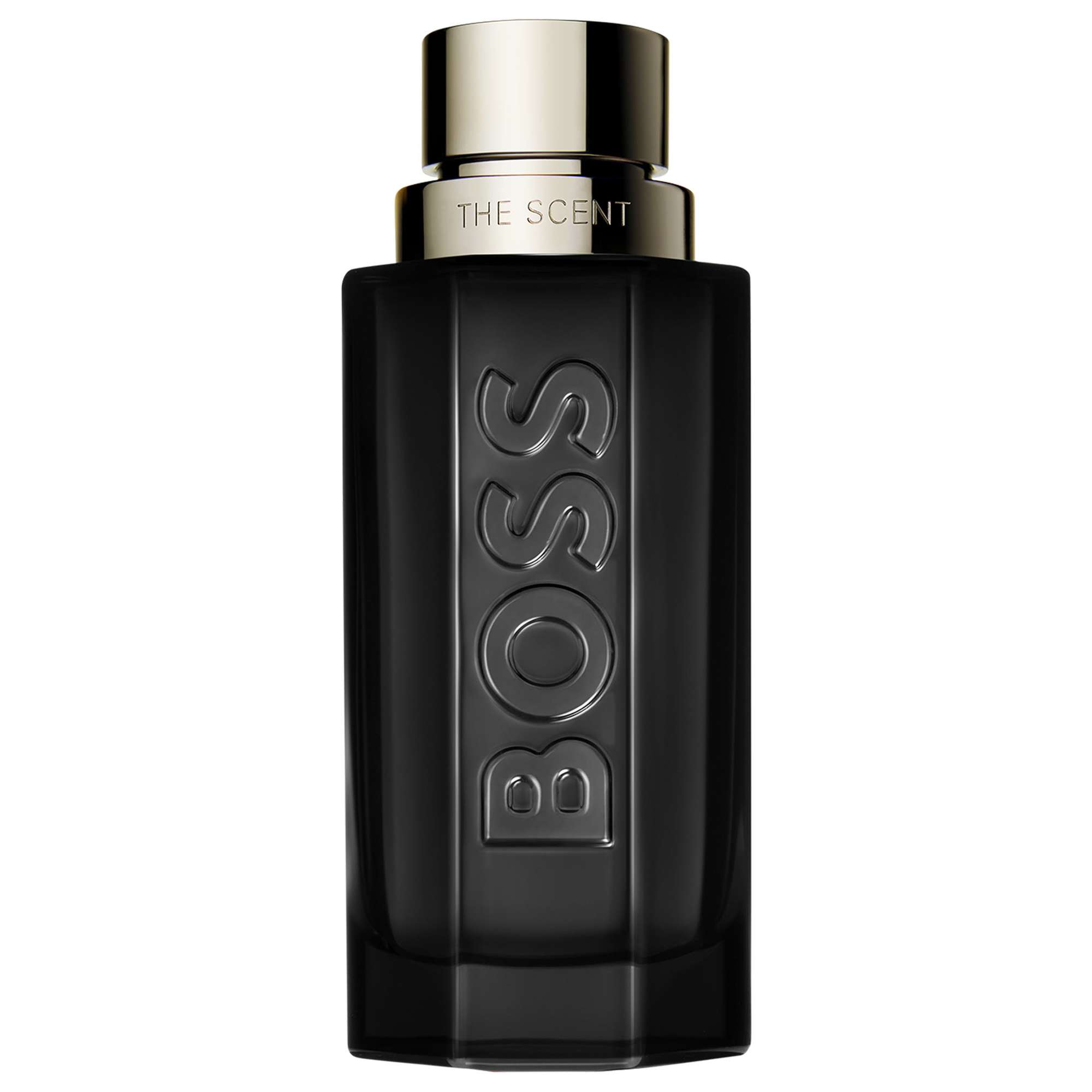 HUGO BOSS BOSS The Scent Magnetic For Him Eau de Parfum 100ml ...