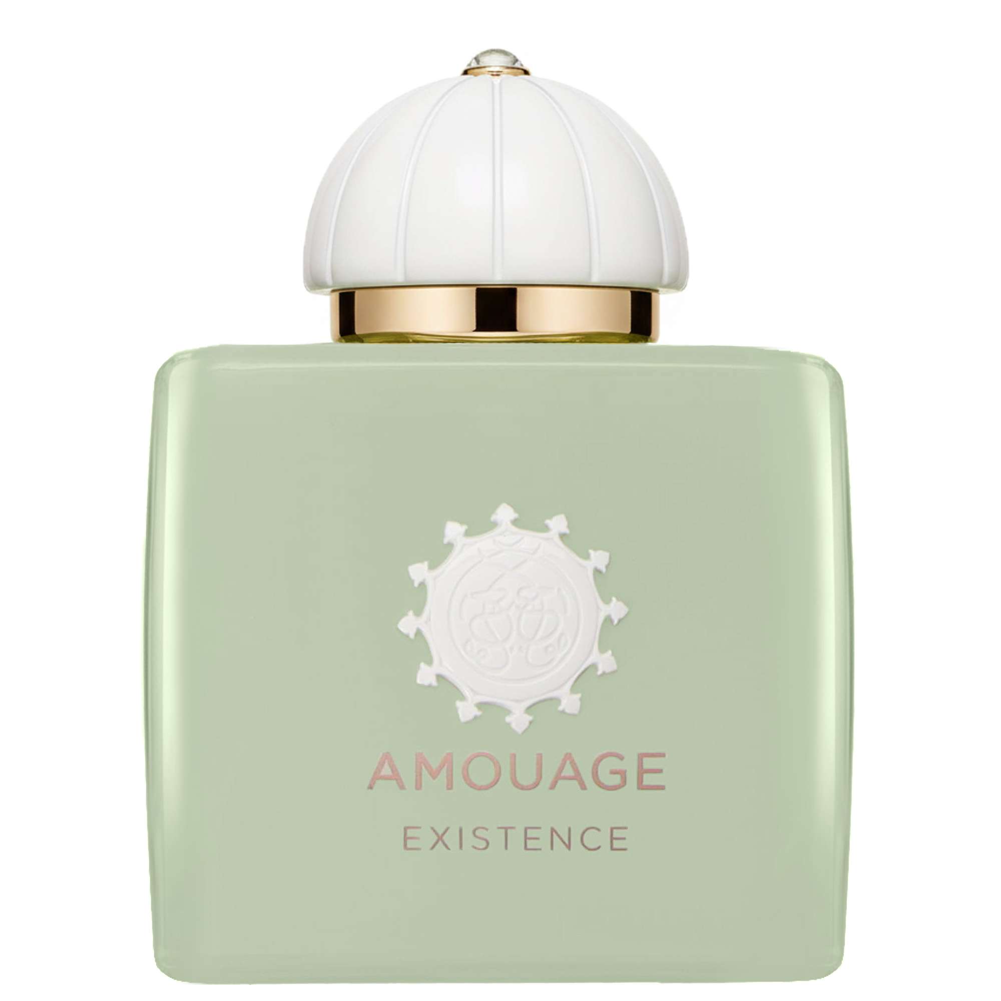 Amouage Existence Eau de Parfum Spray 100ml | allbeauty