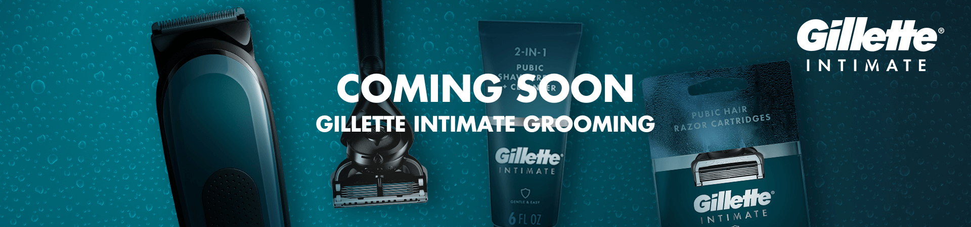 Gillette Intimate Grooming Pubic Hair Innovation Gillette