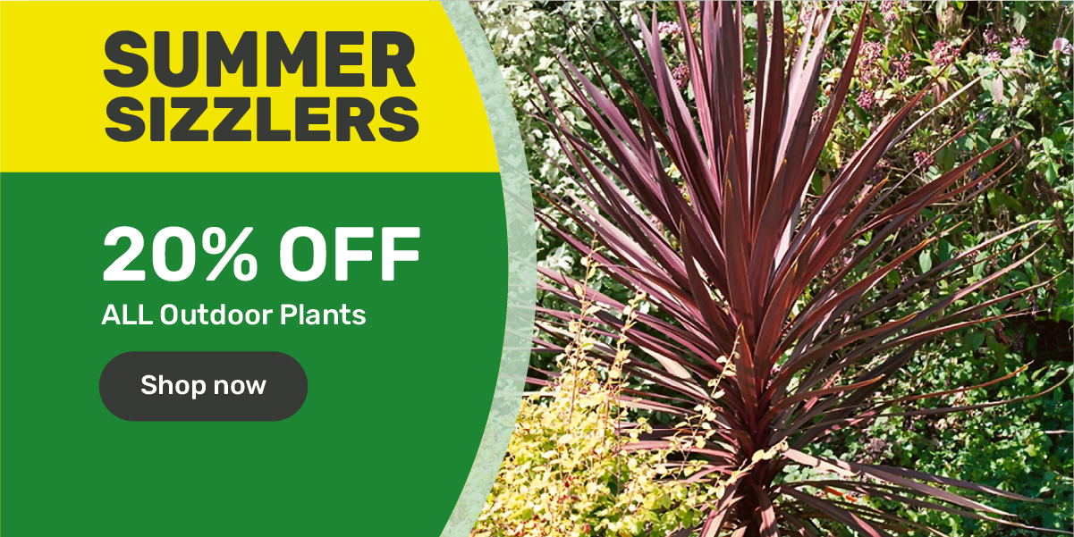 Homebase - All your home needs