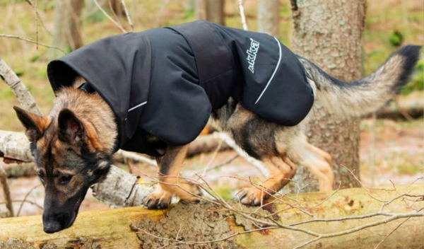 Rukka Pets US: Dog Clothes, Toys, and Gear | Rukka Pets US